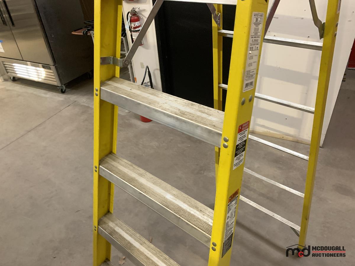 Featherlite Fiberglass 10' Ladder