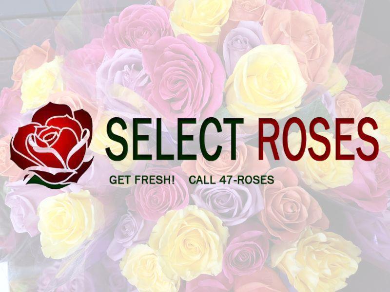 (5) x $50 Gift Certificates from Select Roses, Saskatoon (Retail Value ...