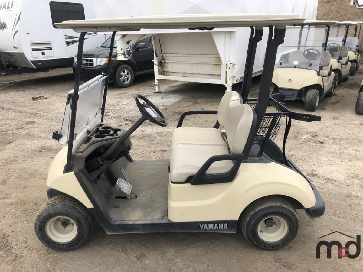 2017 Yamaha DR2E17 Electric Golf Cart