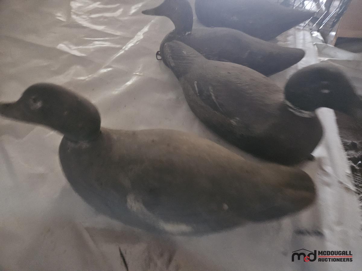 Decoys, Trap and Fake Kennel