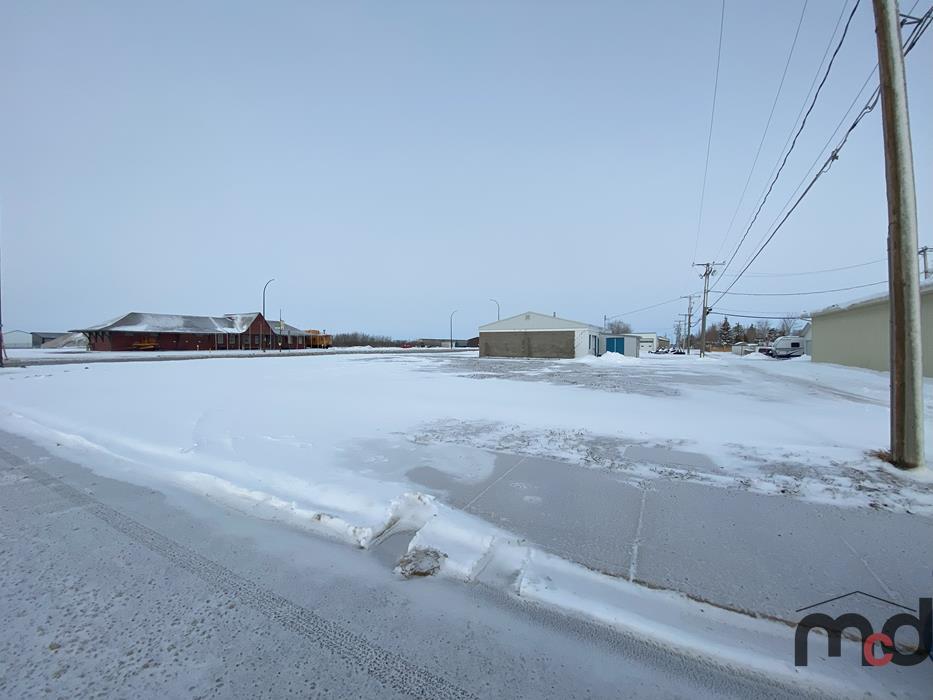 10 Main Street Lanigan, SK - Real Estate