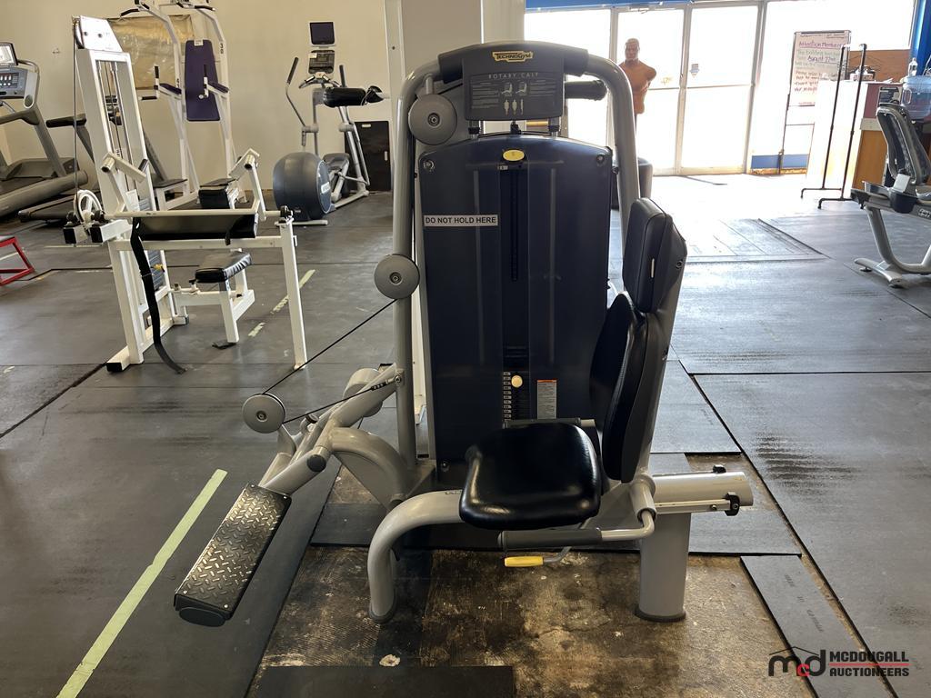 Technogym 2SC Rotary Calf Exercise Equipment