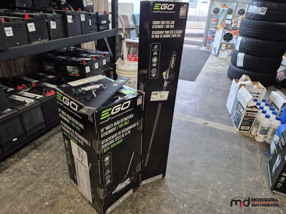 EGO Power Plus 14'' Dethatcher & Pole Saw Attachments w/ Accessories