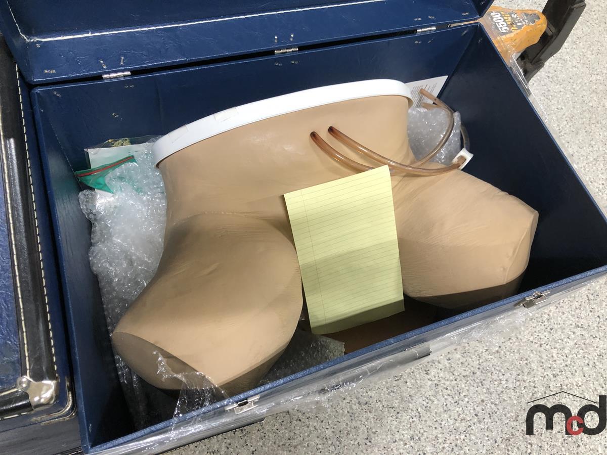 (Approx. 17) Male & Female Catheter Training Models