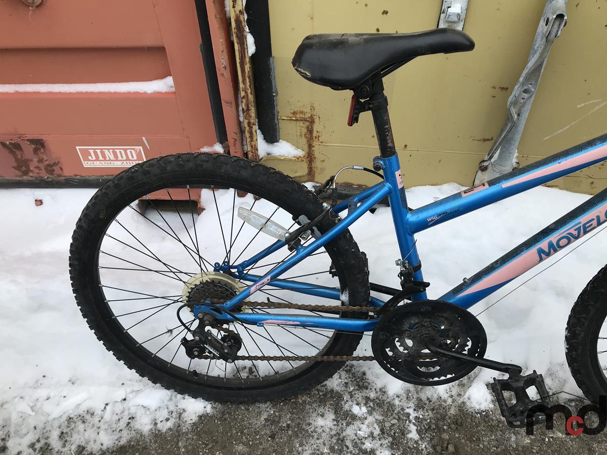 Movelo Algonquin Bike