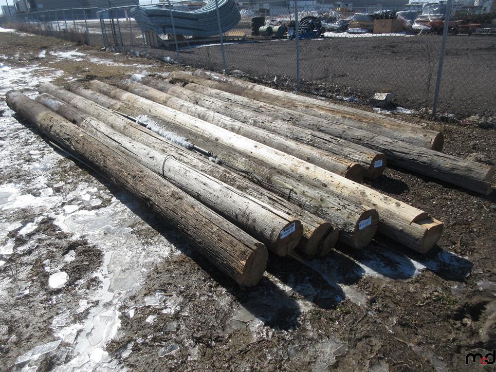 (10) Power Poles