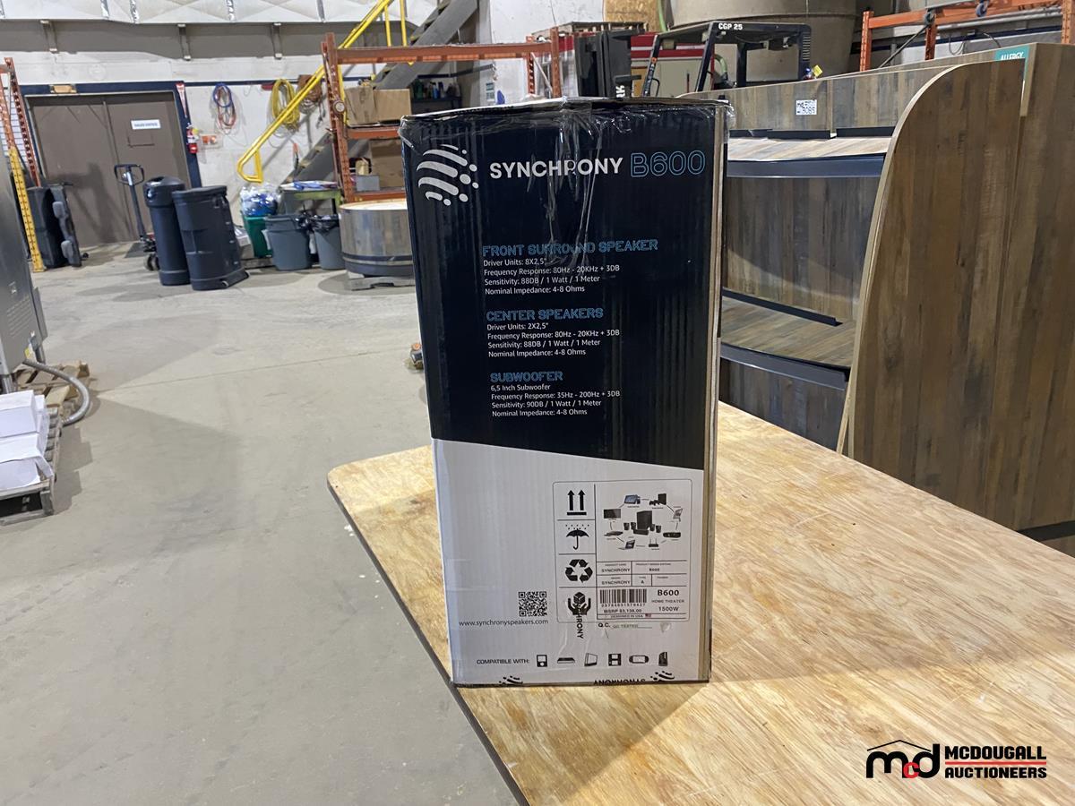 Synchrony B600 Surround Sound System