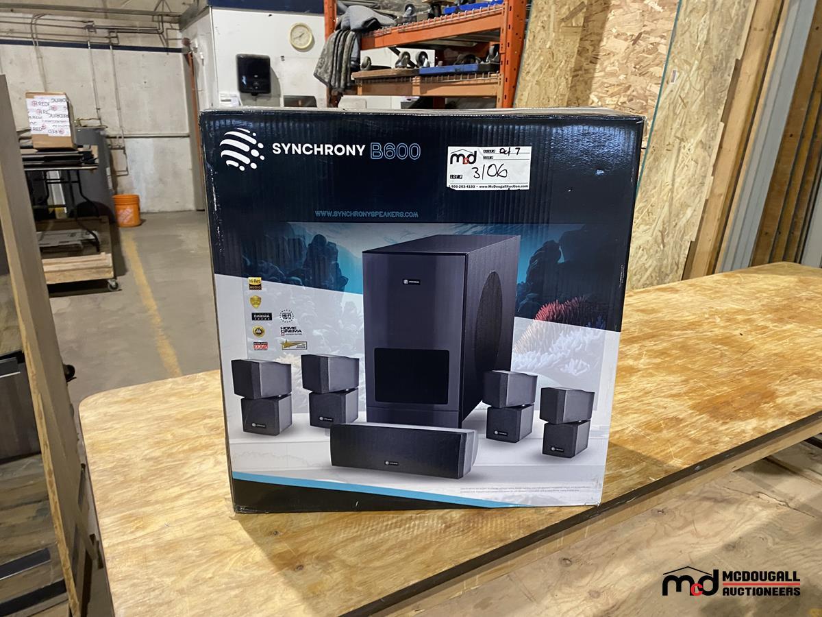 Synchrony B600 Surround Sound System