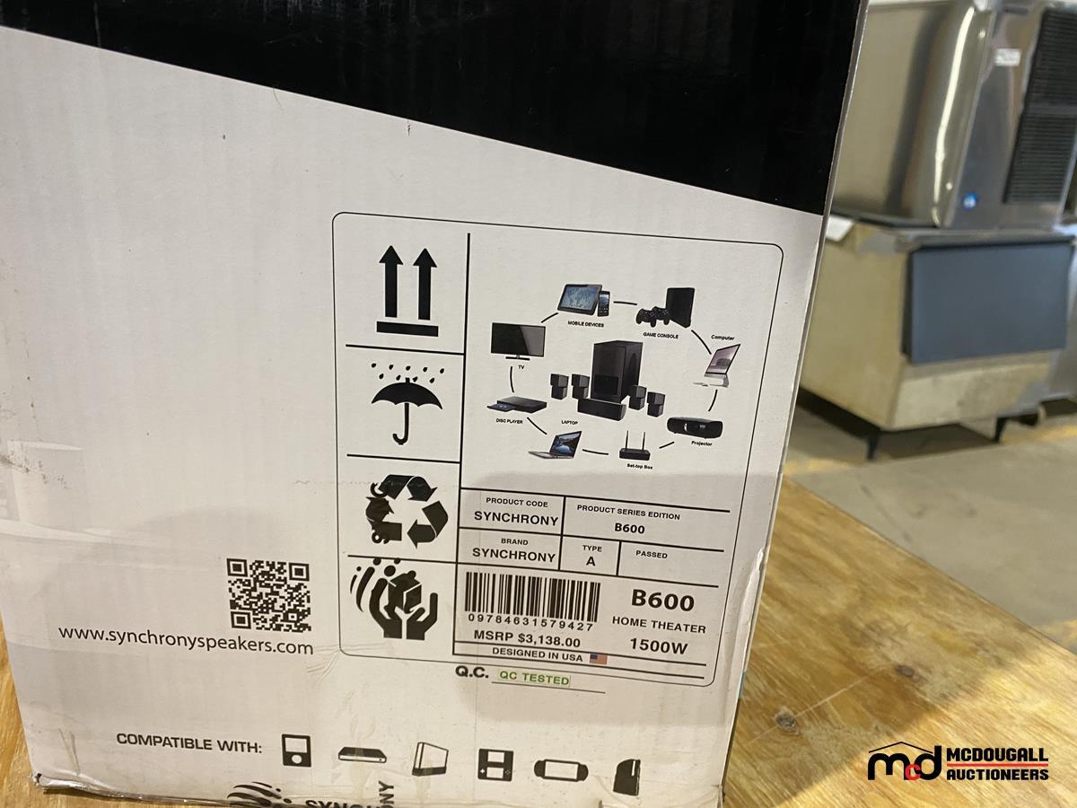 Synchrony B600 Surround Sound System
