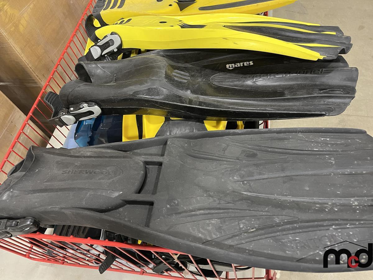 Assorted Scuba Fins