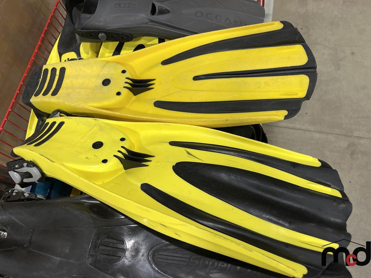 Assorted Scuba Fins