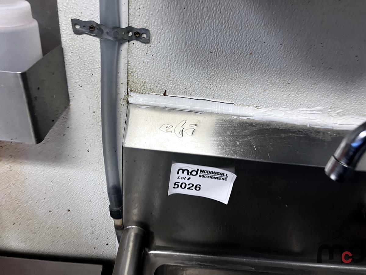 EFI Double Well Sink w/ Wash Wand