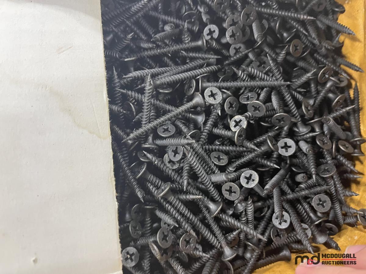 Pallet w/ Nails & Drywall Studs