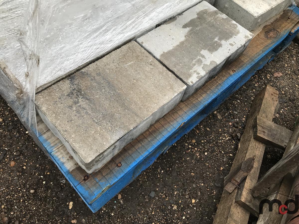 Pallet of Champagne Paver Bricks