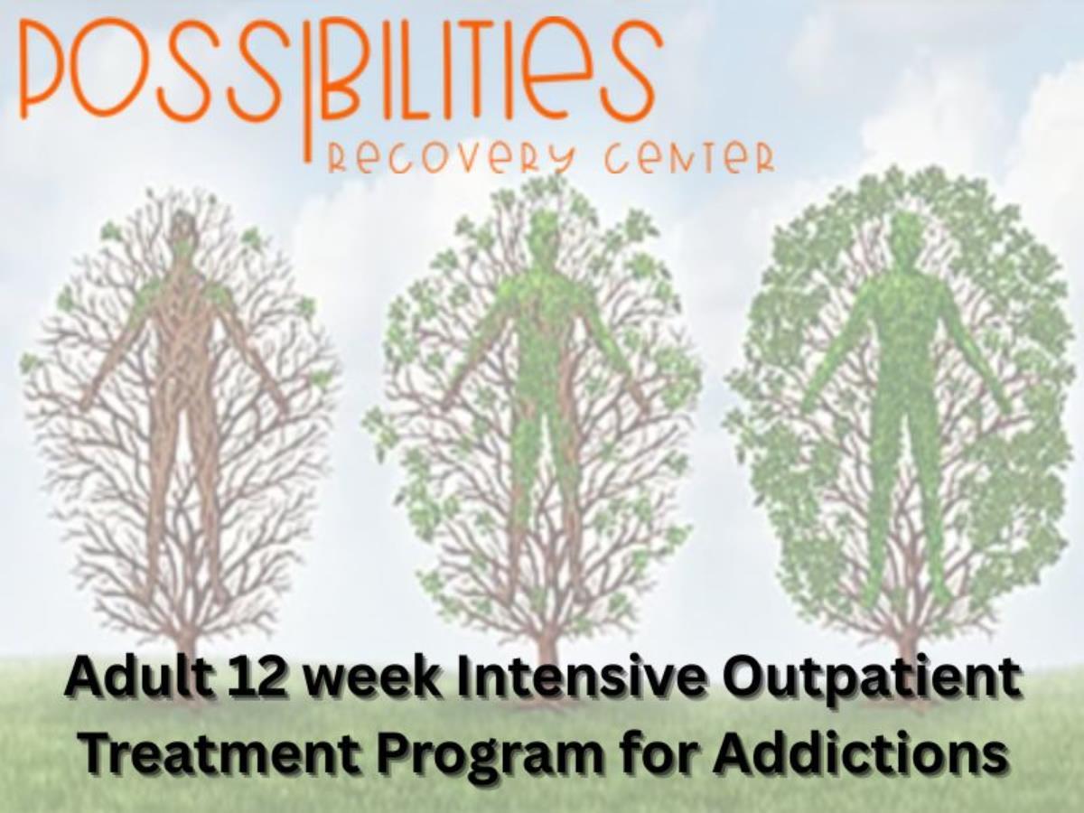 Adult 12 Week Intensive Outpatient Treatment Program for Addictions at ...