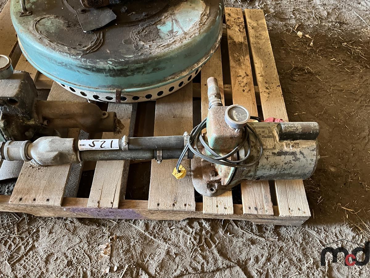 Brigg's & Stratton Slough Pump & Well Pump