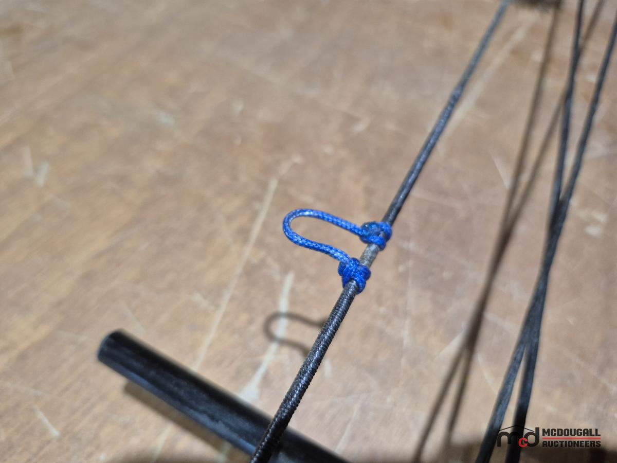 Darton Maverick Compound Bow w/ Case and Accessories