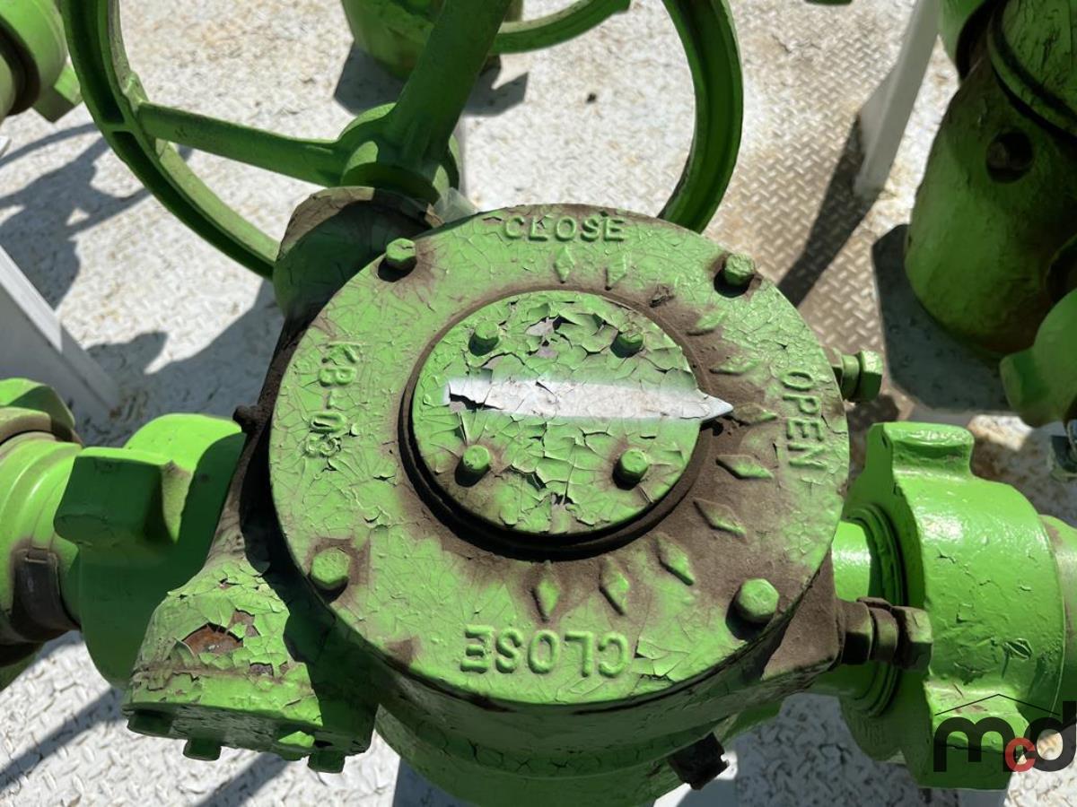 7-Valve Skid (98" x 125") Mounted Junk Catcher