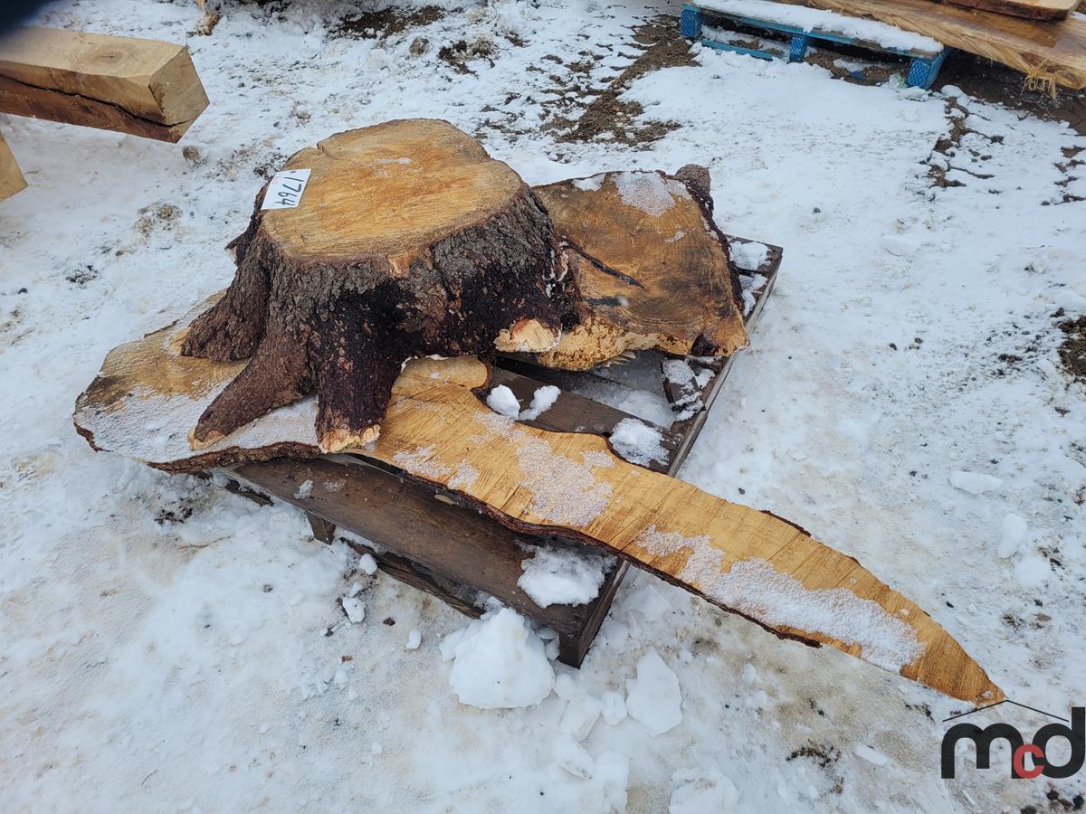 (3) Live Edge Stumps