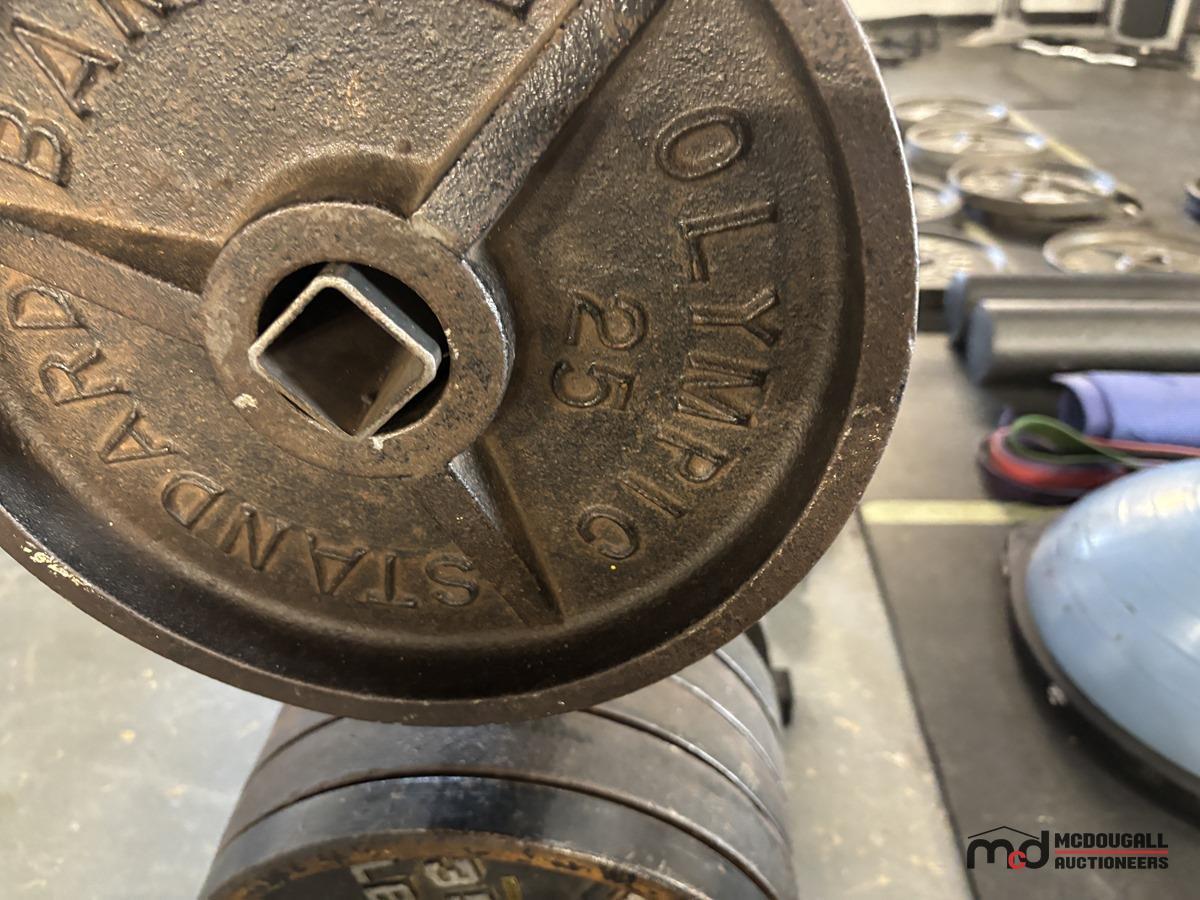 Weight Plate Rack and Assorted Weights
