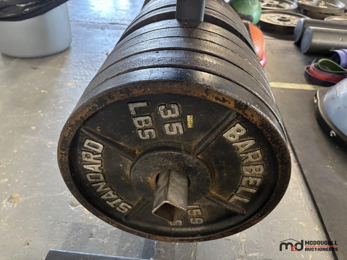 Weight Plate Rack and Assorted Weights