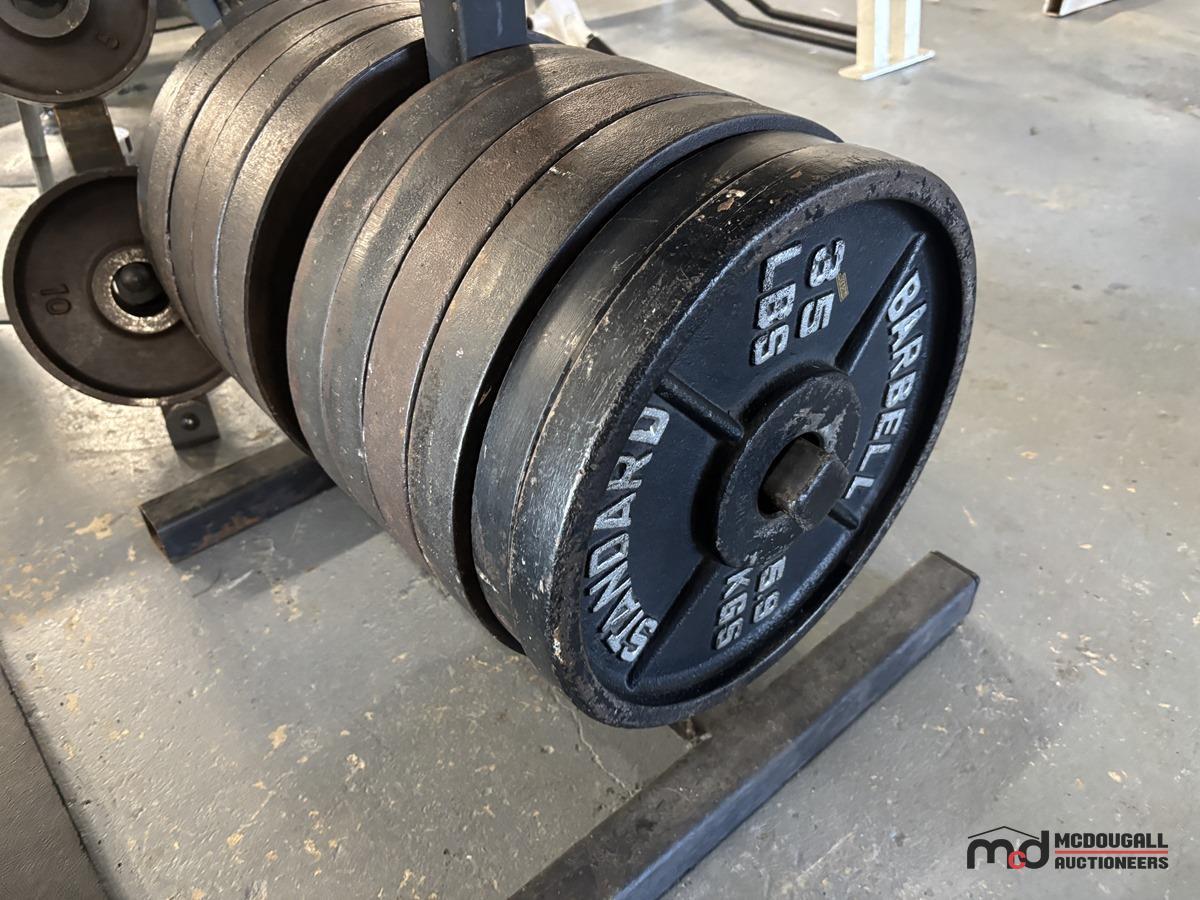 Weight Plate Rack and Assorted Weights