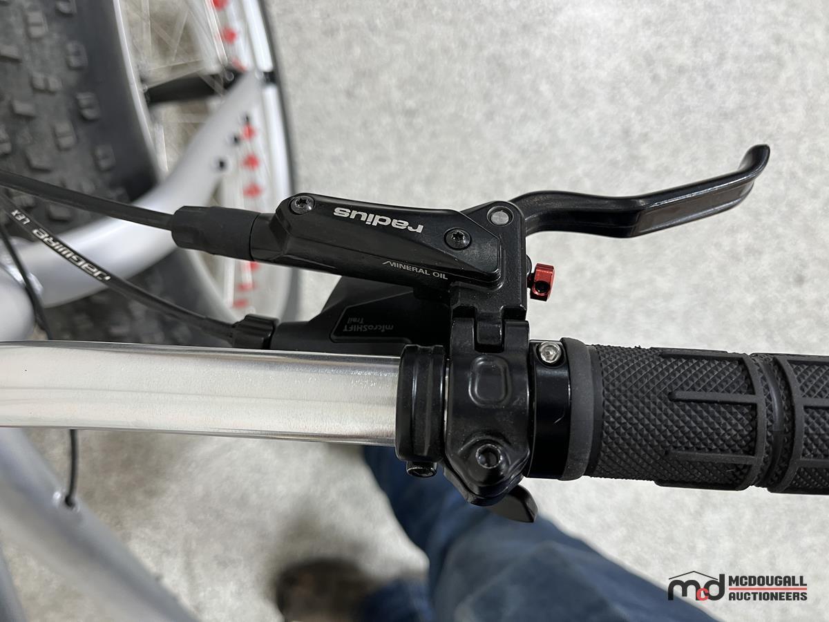 Evo OMW Fat Tire Mountain Bike