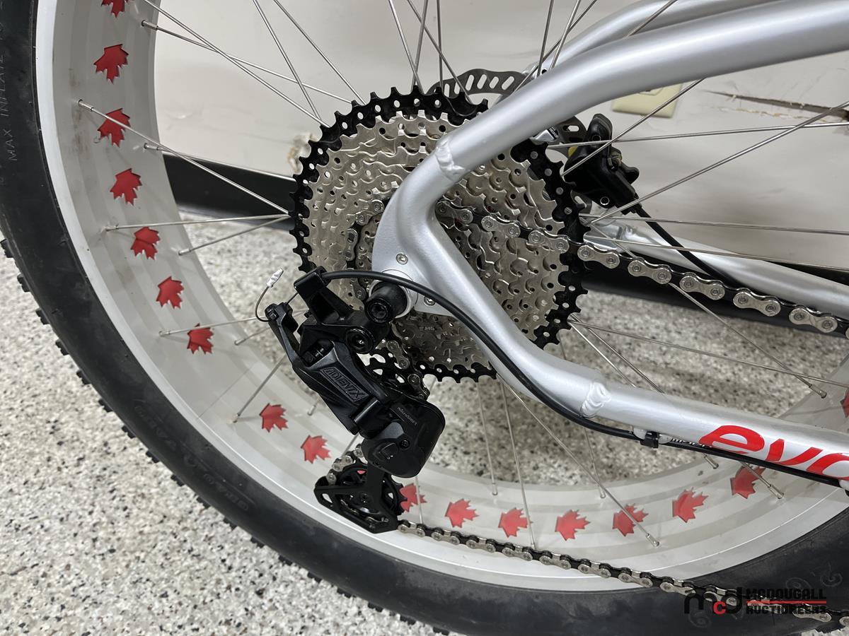 Evo OMW Fat Tire Mountain Bike