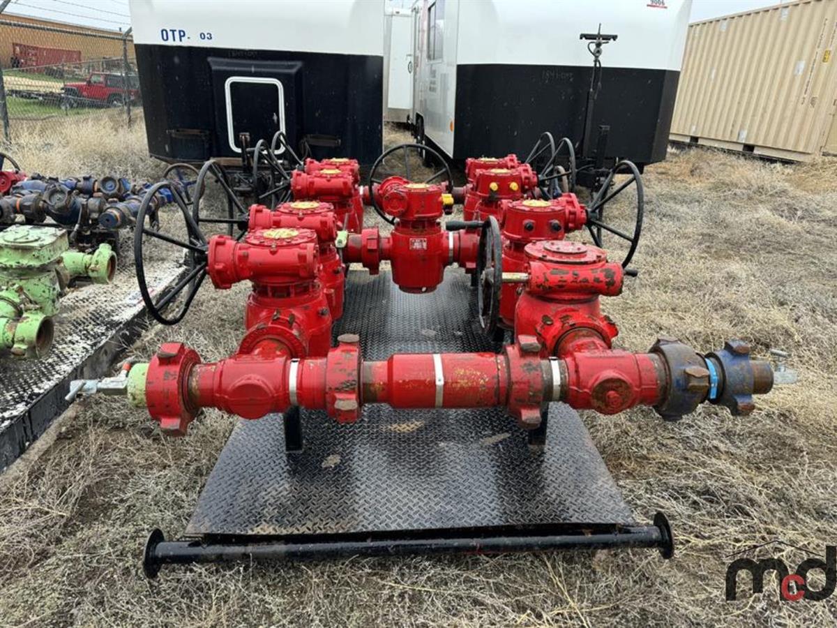 9-Valve 3'' Manifold Skid