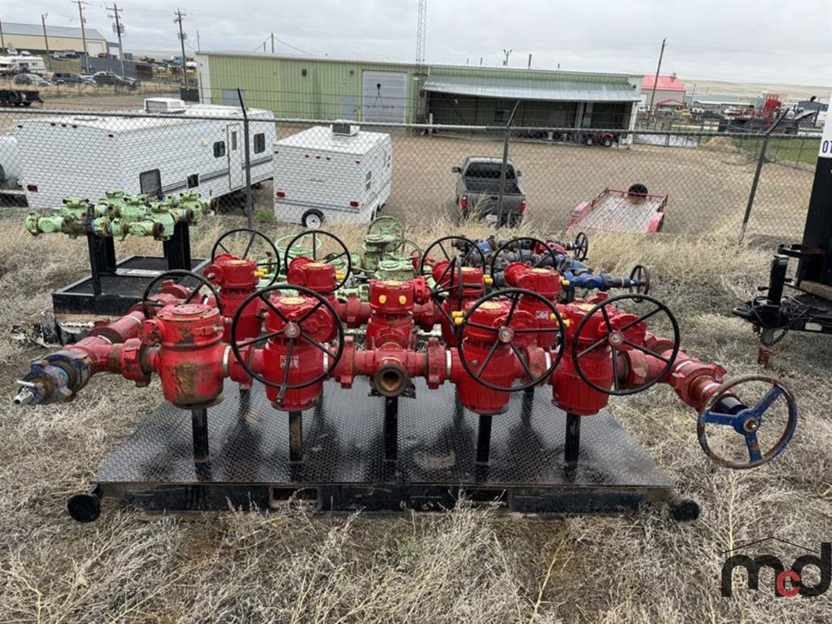 9-Valve 3'' Manifold Skid