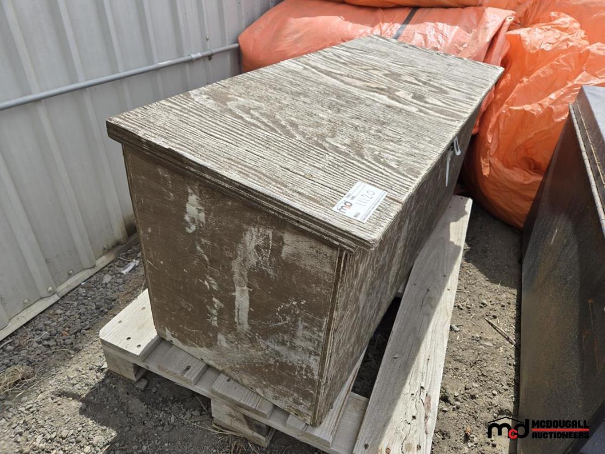 19'' x 4' 21'' Trunk & Chain