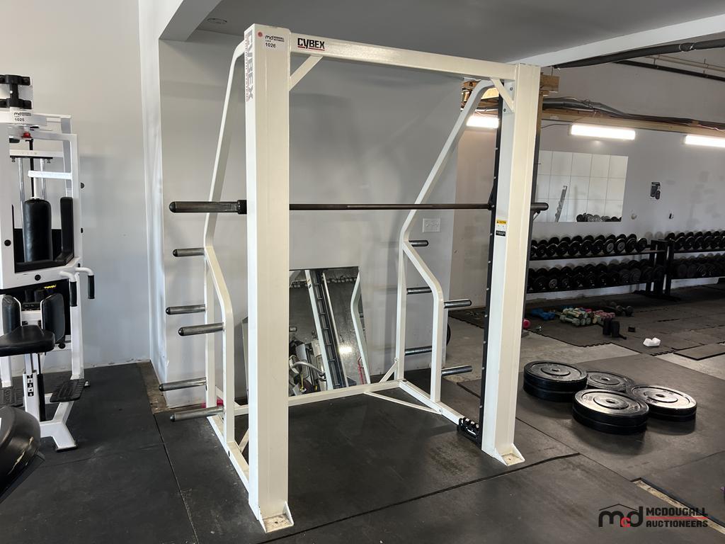 Cybex Smith Press Exercise Equipment