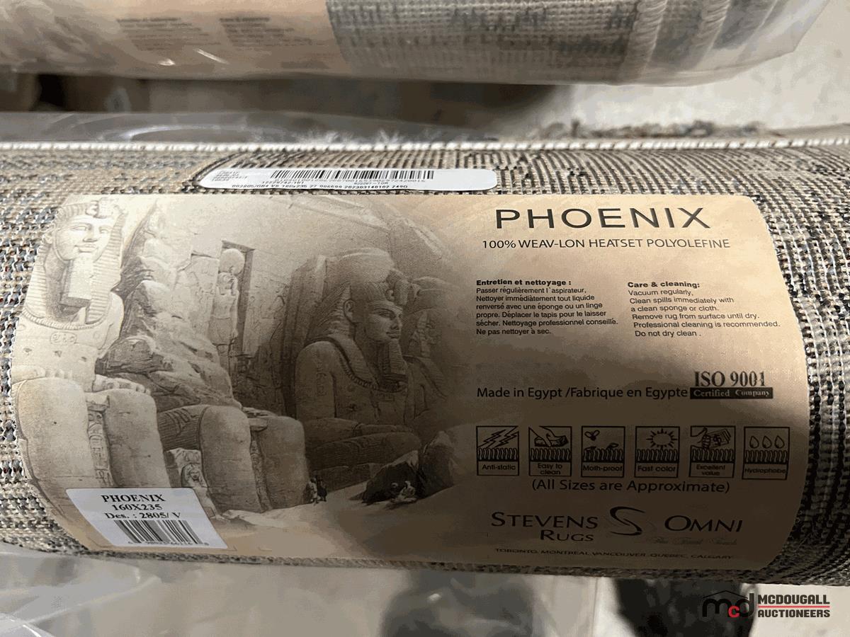 3 Phoenix Area Rugs 5'3 x 7'6