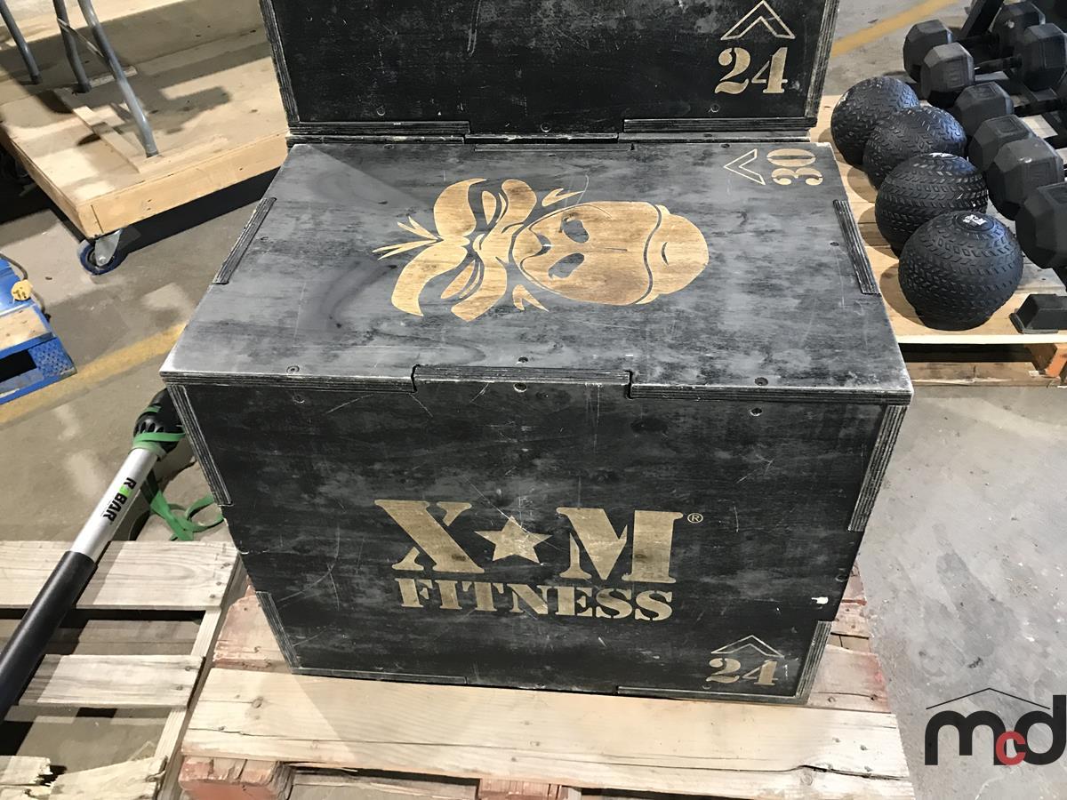 (3) XM Fitness Training Boxes