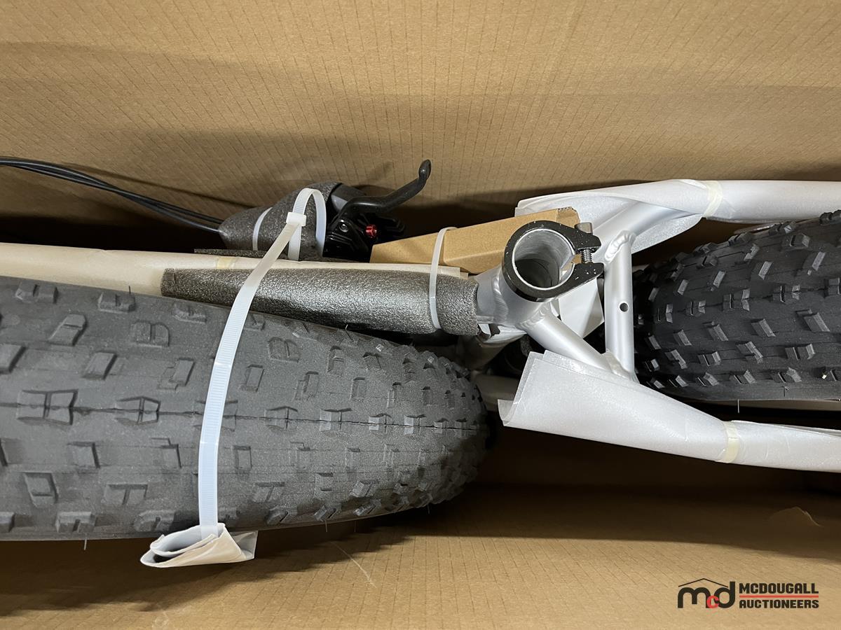 Evo OMW Fat Tire Mountain Bike