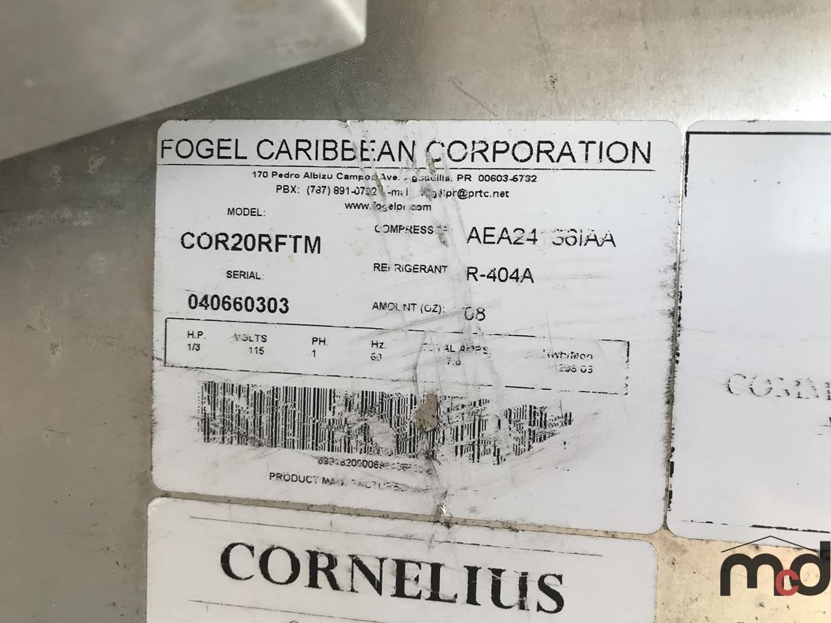 Cornelius Freezer