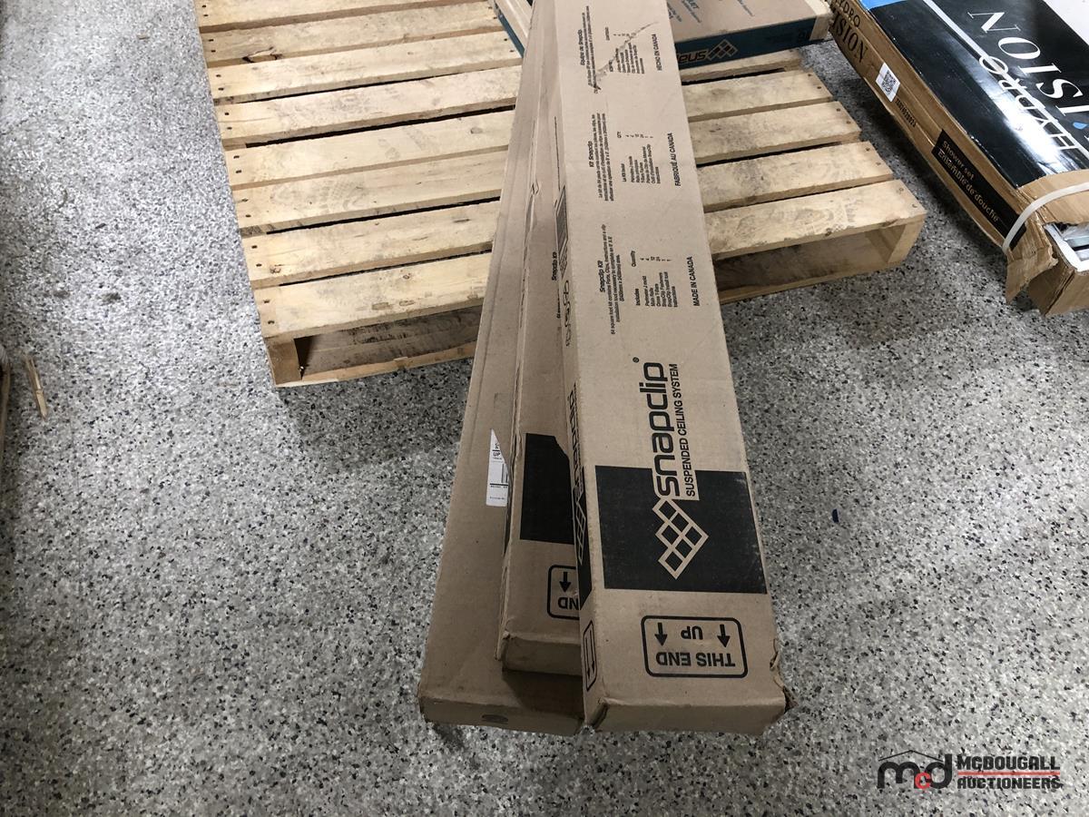 Snap Clip Ceiling System and Area Rug