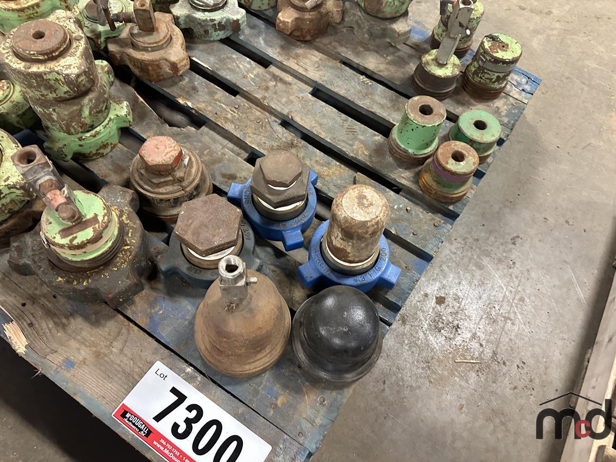 1502/206 Wing and Thread Caps (2"-3")