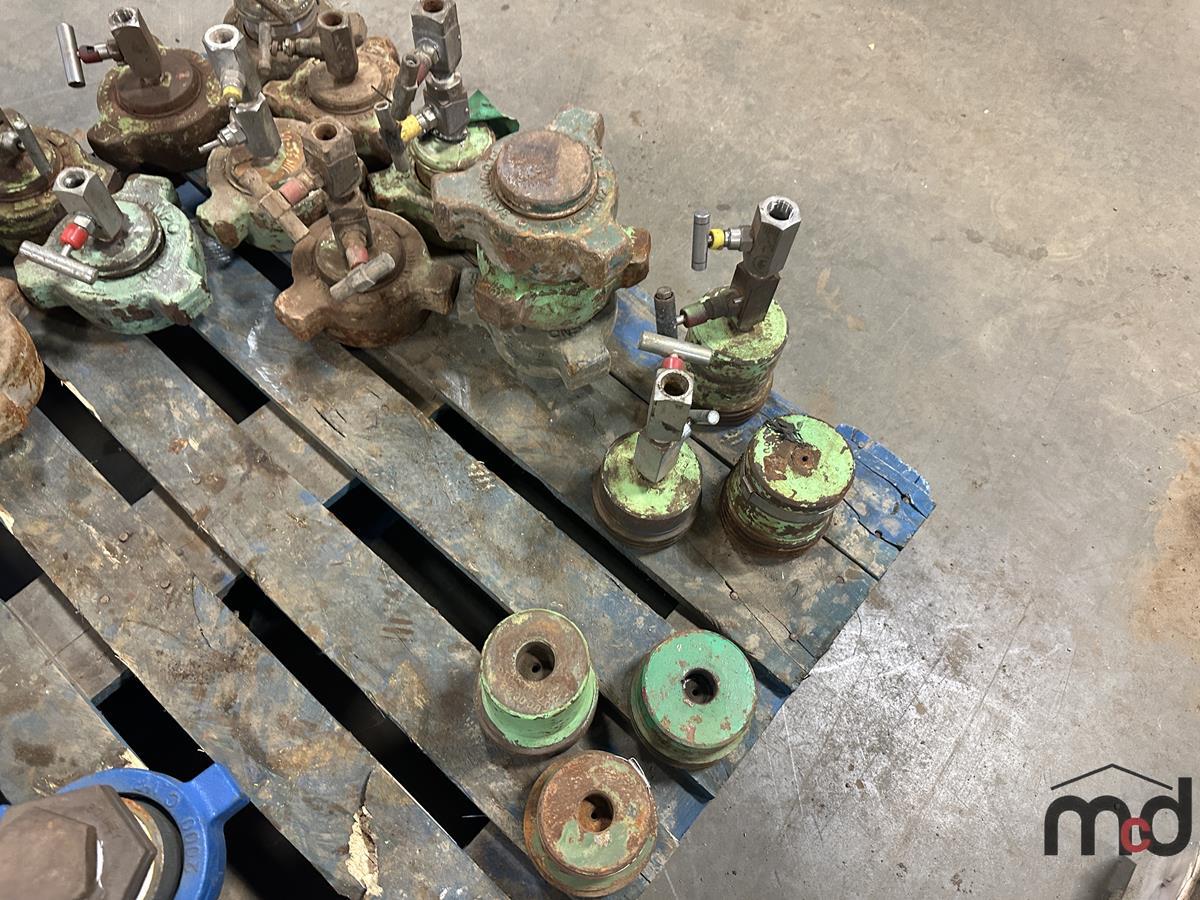 1502/206 Wing and Thread Caps (2"-3")