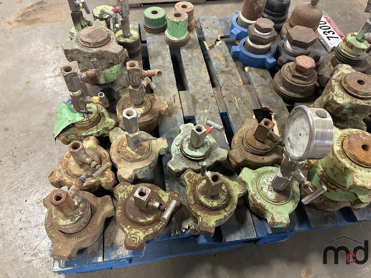 1502/206 Wing and Thread Caps (2"-3")