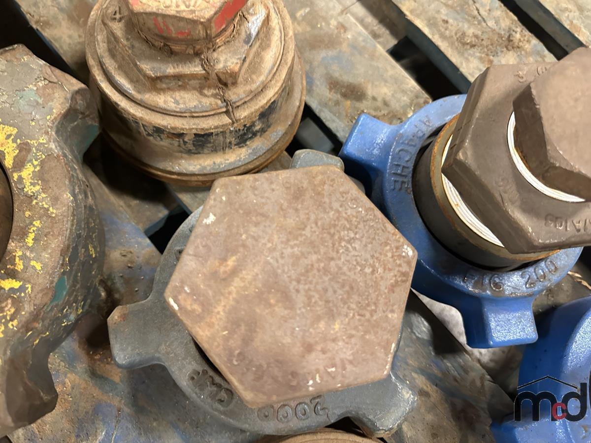 1502/206 Wing and Thread Caps (2"-3")