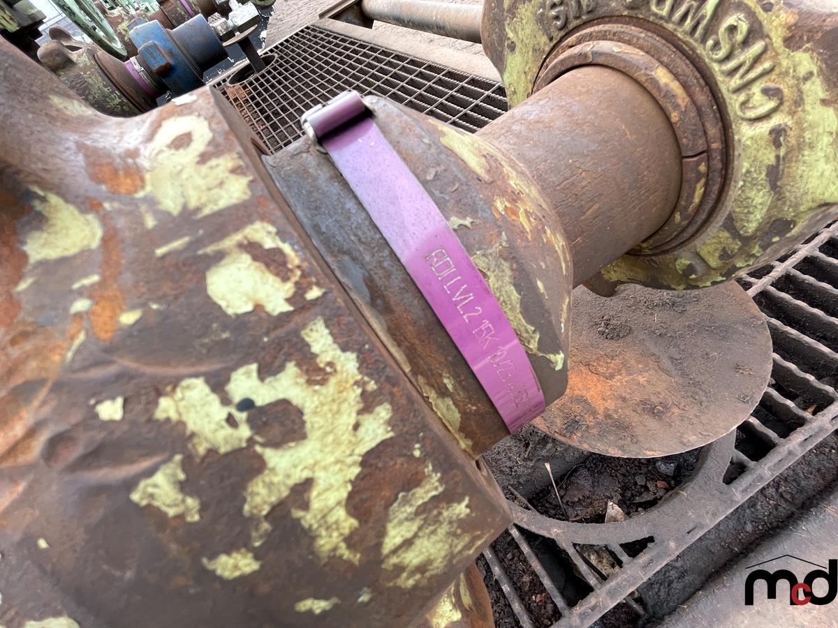 5-Valve Skid Mount Junk Catcher