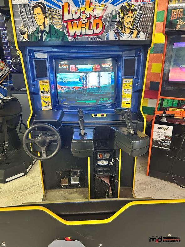 Lucky & Wild Driving Arcade Game