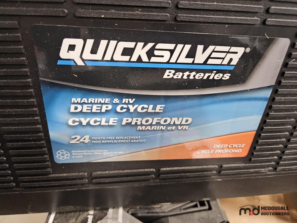 (4) DC31DT Batteries