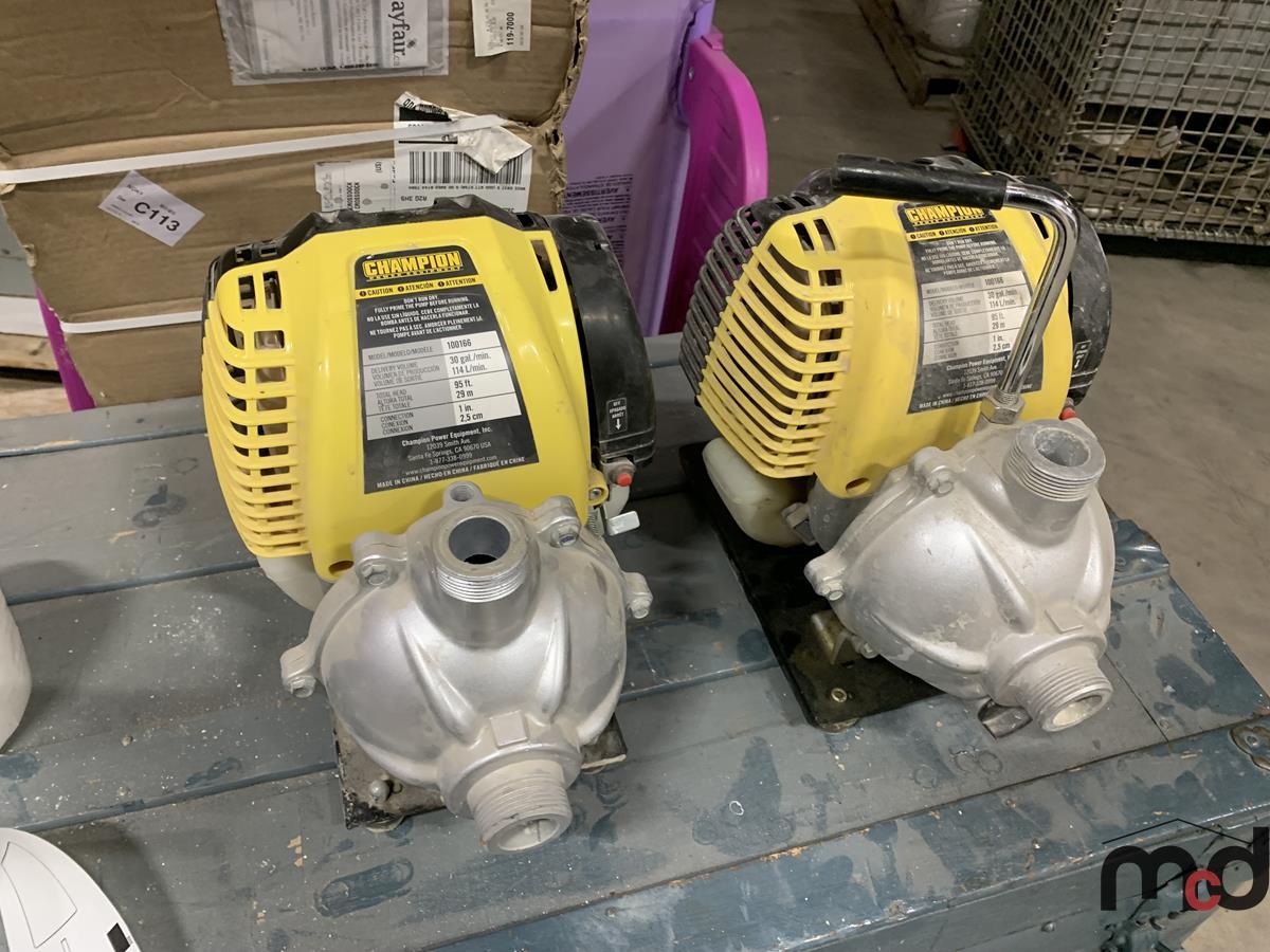 (2) Champion Pumps