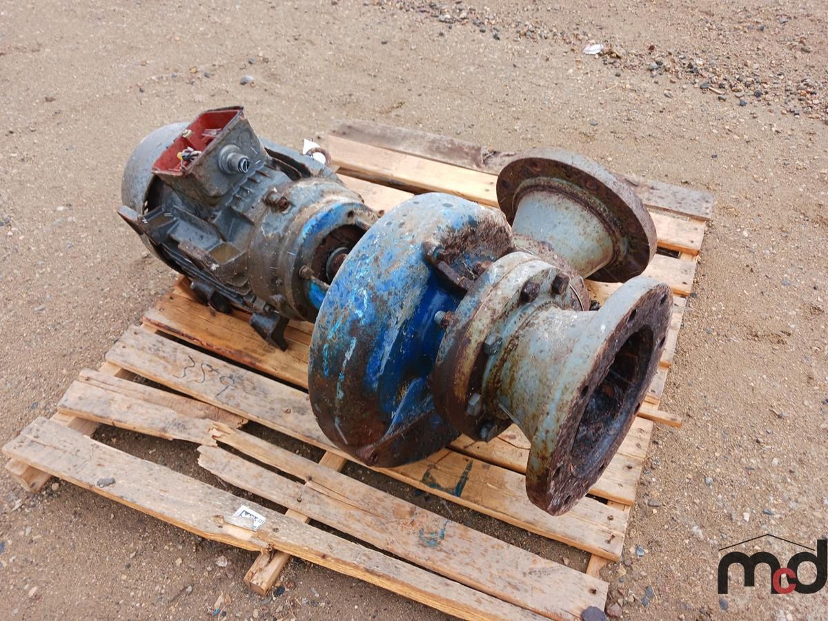 Weg Water Pump