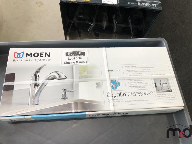 Moen Caprillo Pull Out Kitchen Faucet