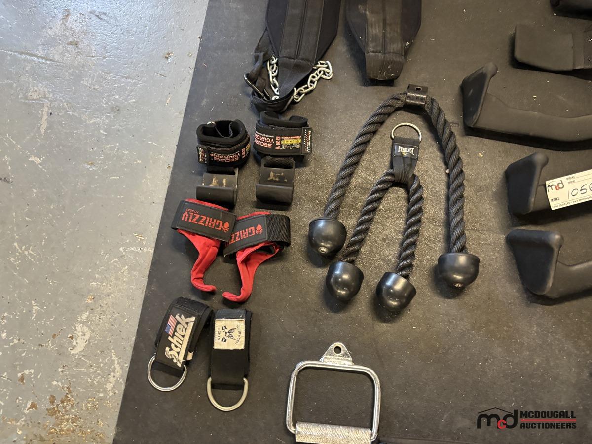 Assorted Cable Machine Accessories