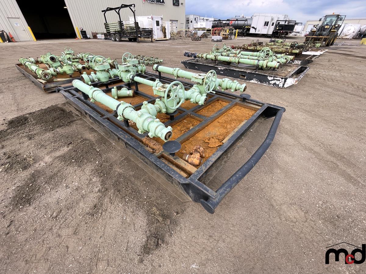 5-Valve Skid Mounted Junk Catcher