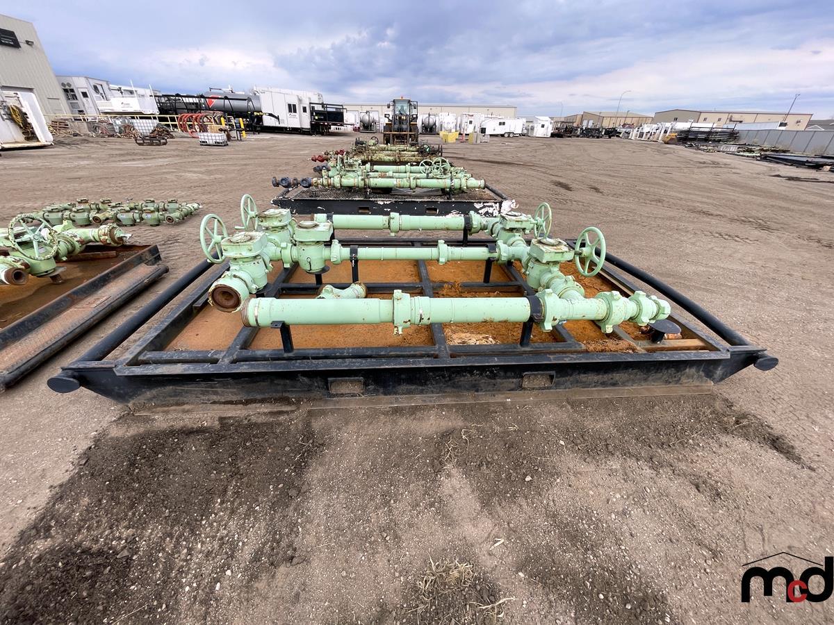 5-Valve Skid Mounted Junk Catcher